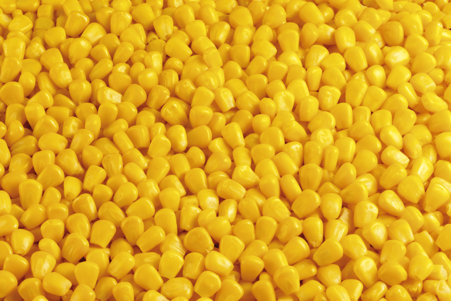 Corn Kernels - Markwell Foods New Zealand