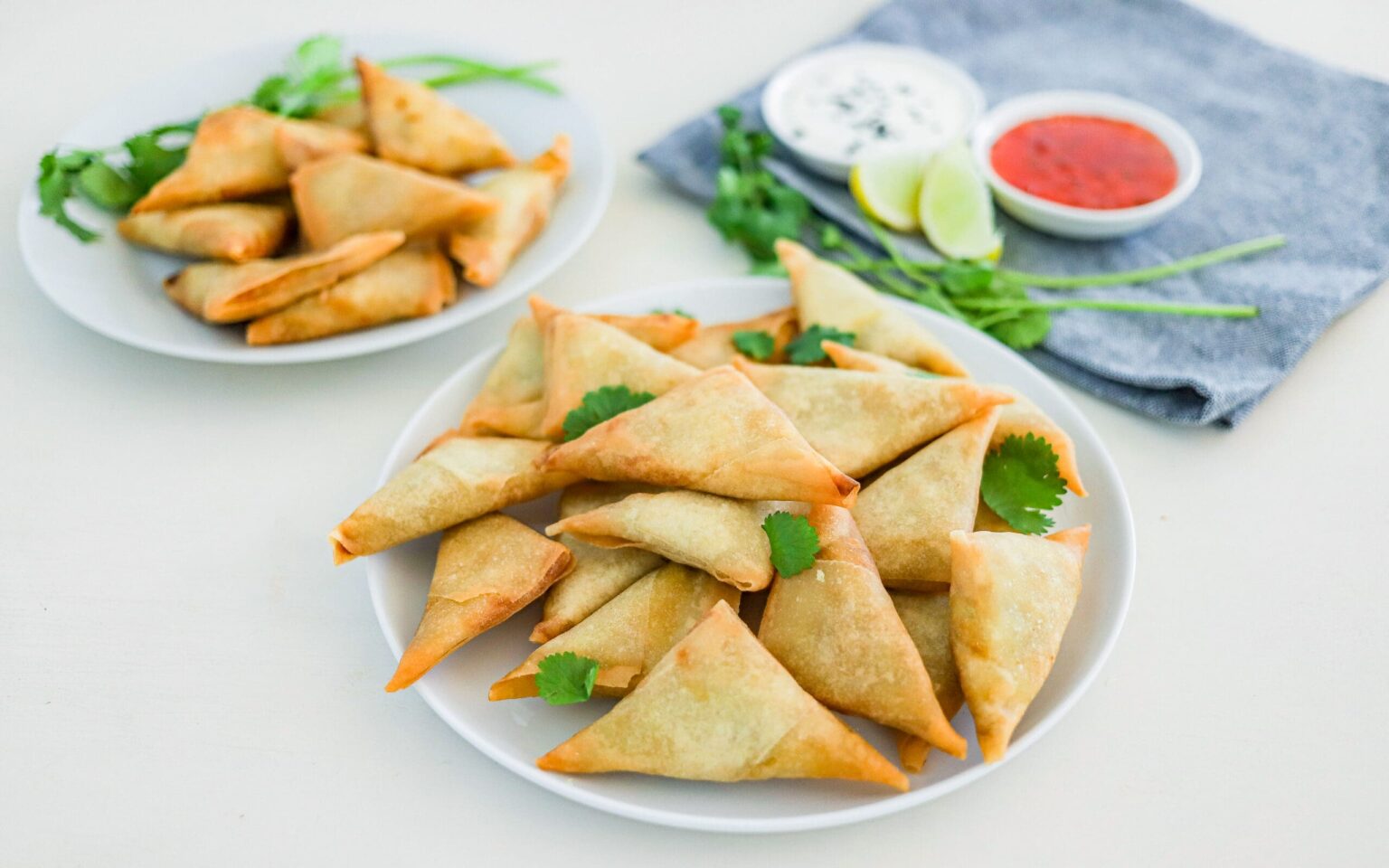 Vegetable Samosas - Markwell Foods New Zealand
