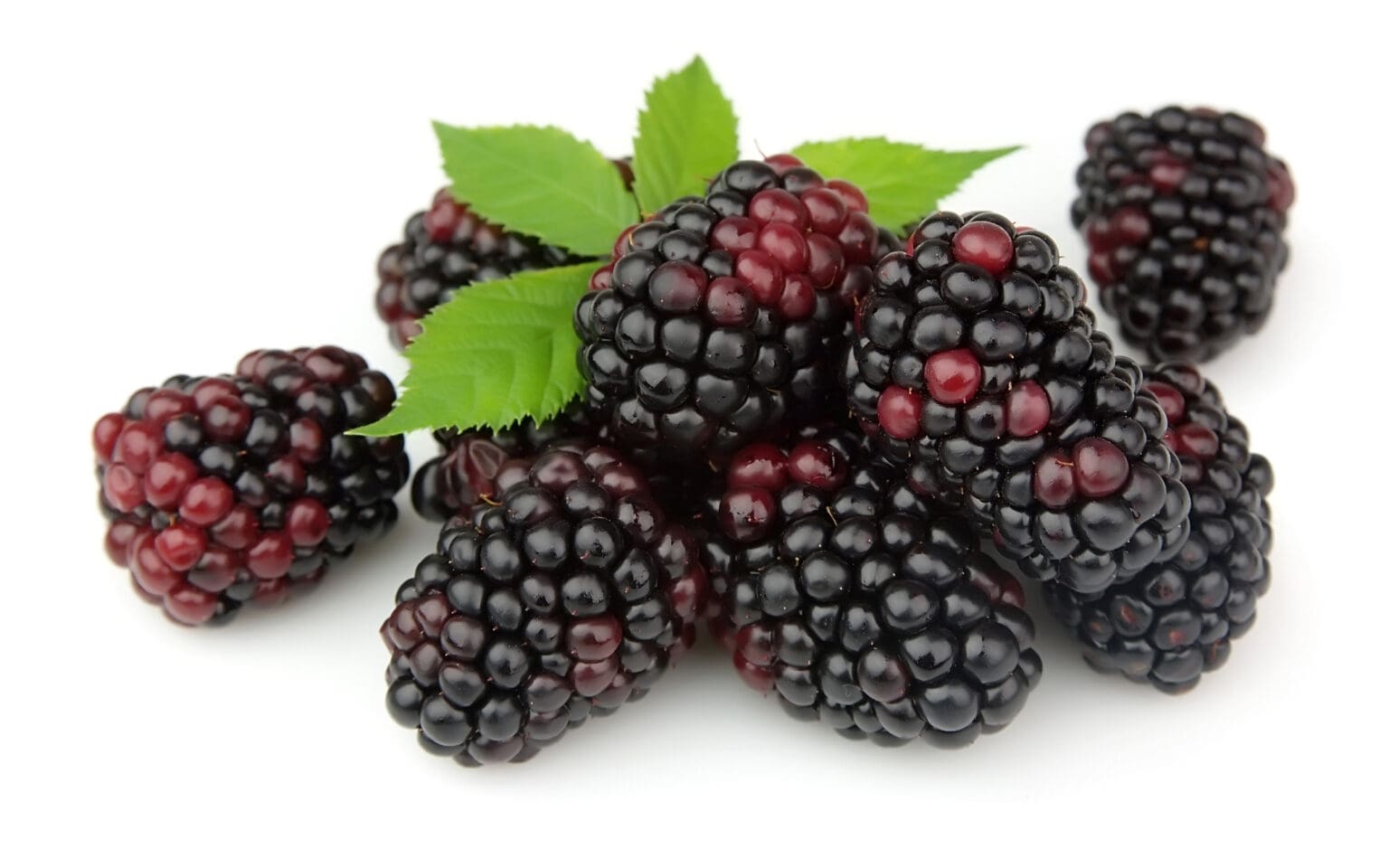 Berries & Fruit - Markwell Foods New Zealand