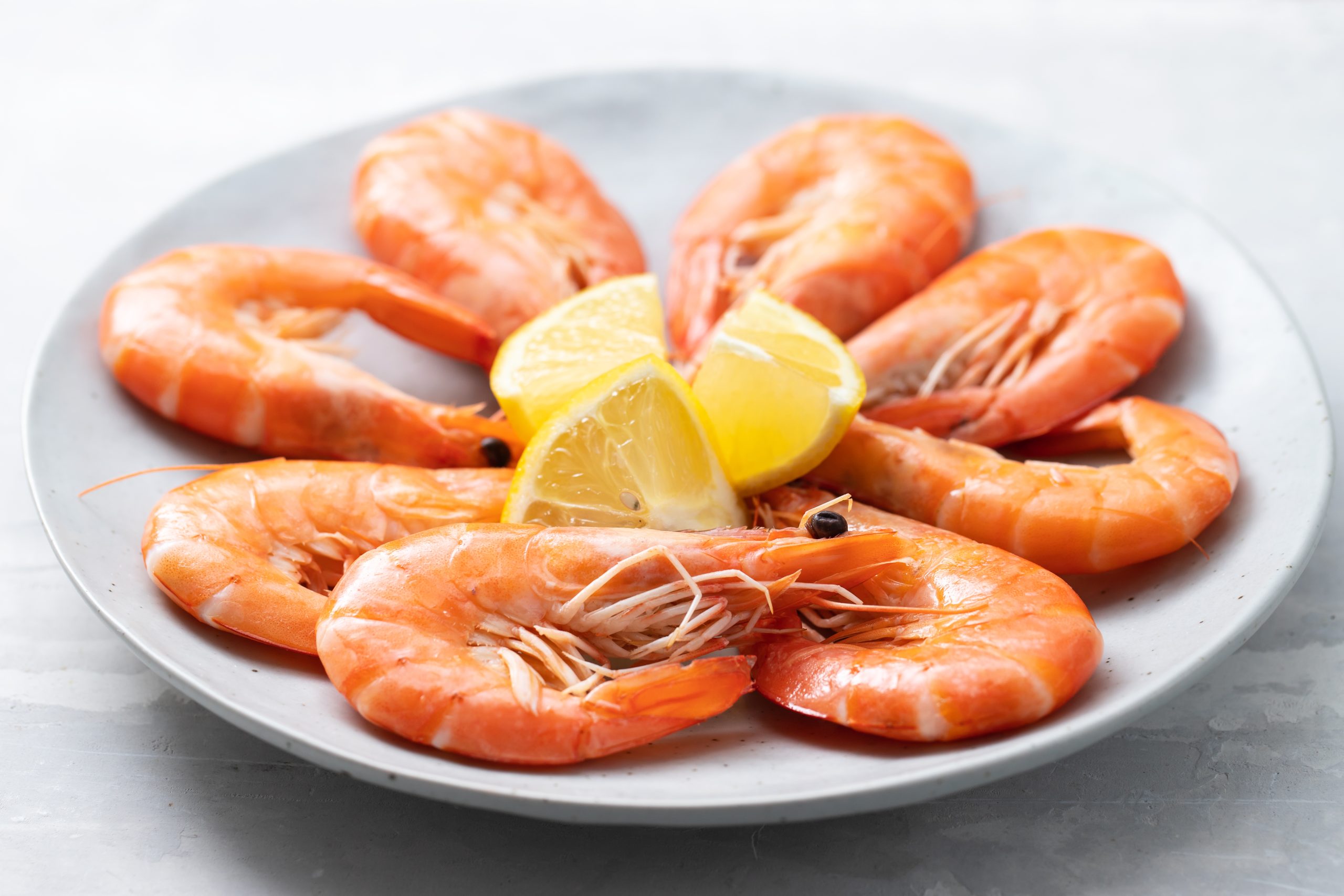 Cooked Cold Water Whole Shrimp - Markwell Foods New Zealand