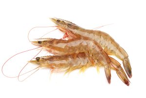 Raw Whole Vannamei Prawns - Markwell Foods New Zealand