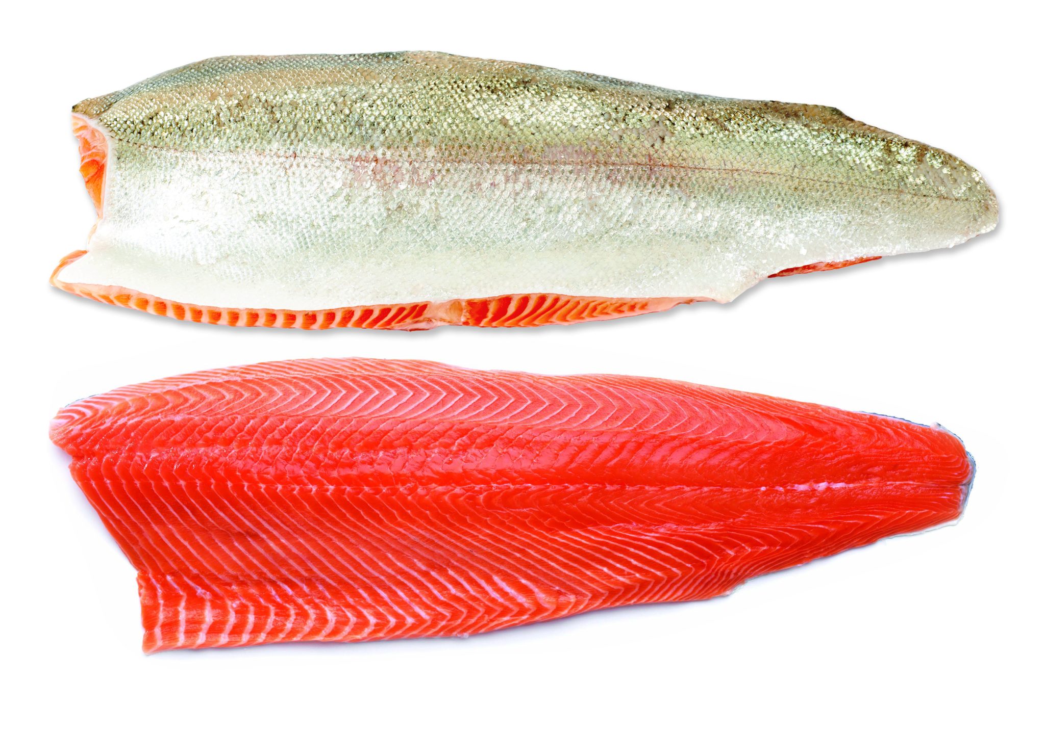 Salmon Fillets - Skin On - Markwell Foods New Zealand