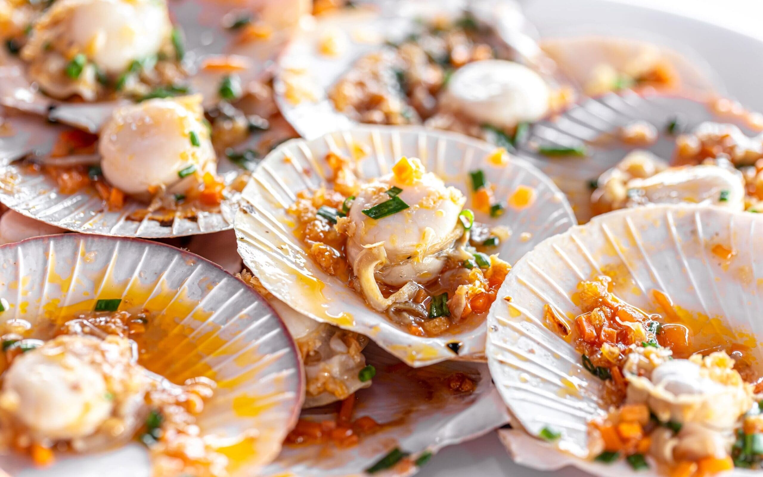 Scallops in Half Shell - Markwell Foods New Zealand